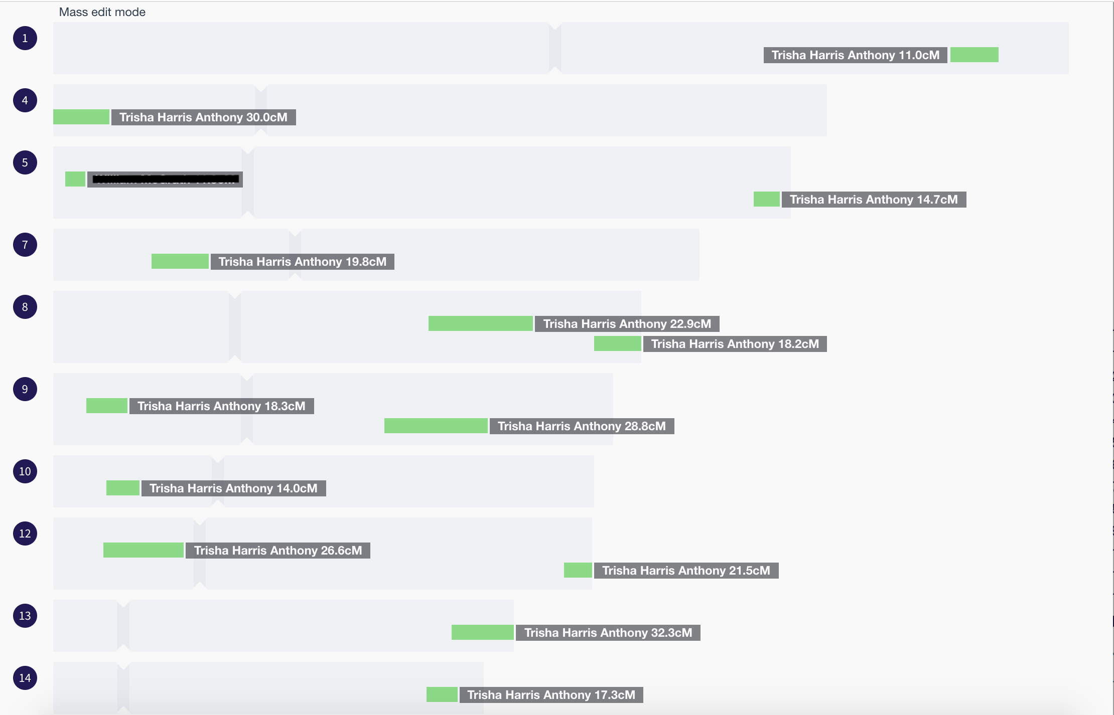 AutoSegment Cluster – Patricia Coleman Genealogy LLC