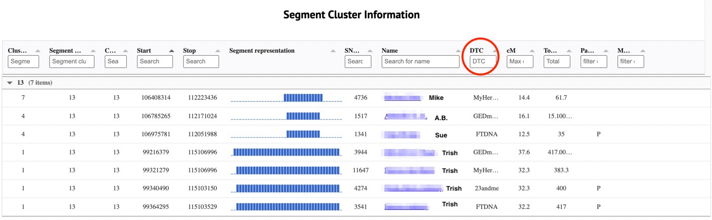 Genetic Affairs Hybrid AutoSegment Cluster – Patricia Coleman Genealogy LLC