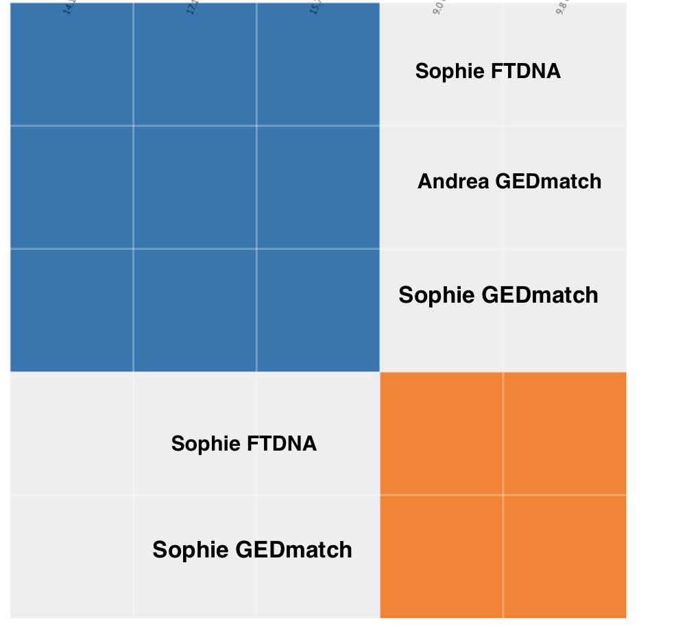 Genetic Affairs Hybrid AutoSegment Cluster – Patricia Coleman Genealogy LLC