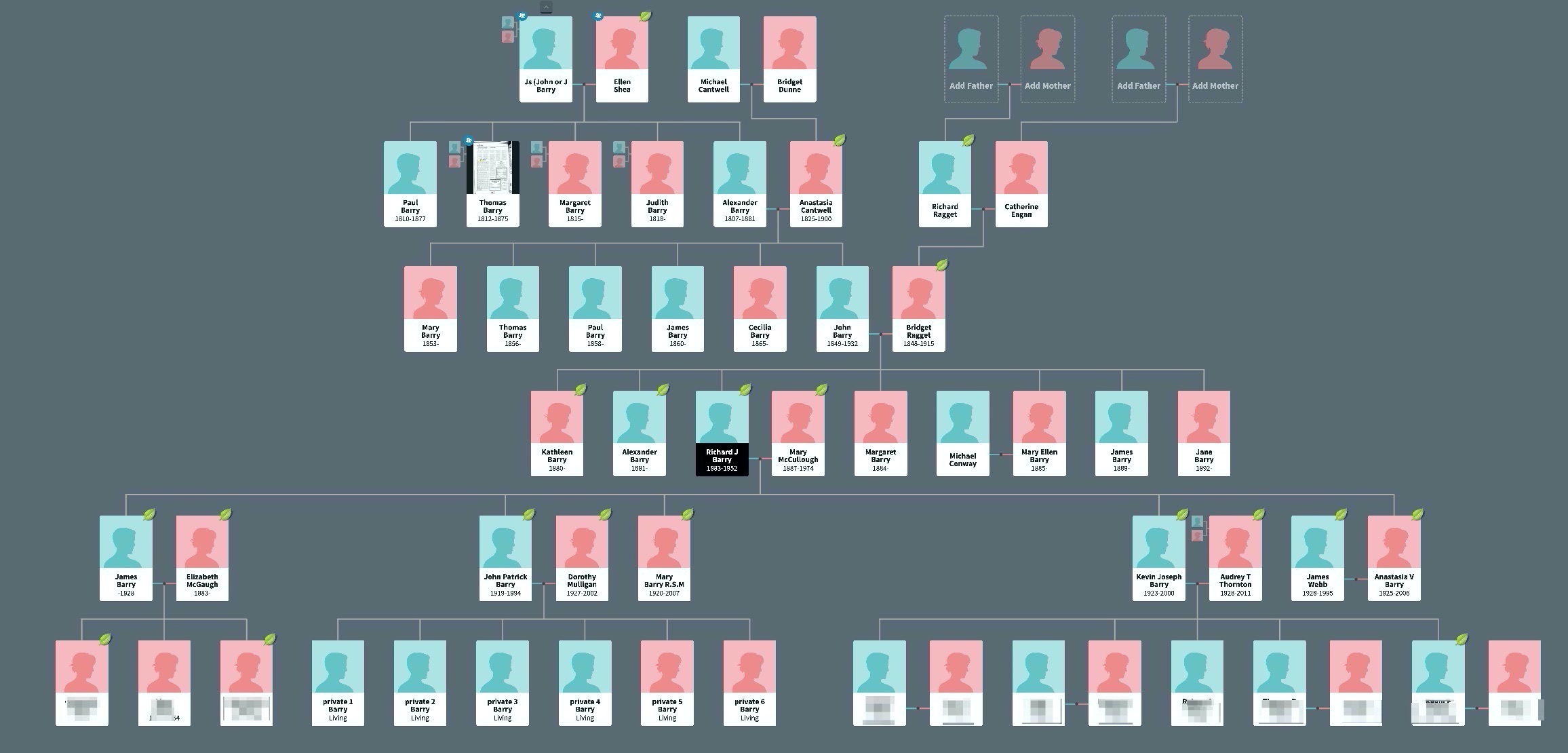 Looking for Thomas Barry in Kilkenny, Ireland before 1840 – Patricia ...