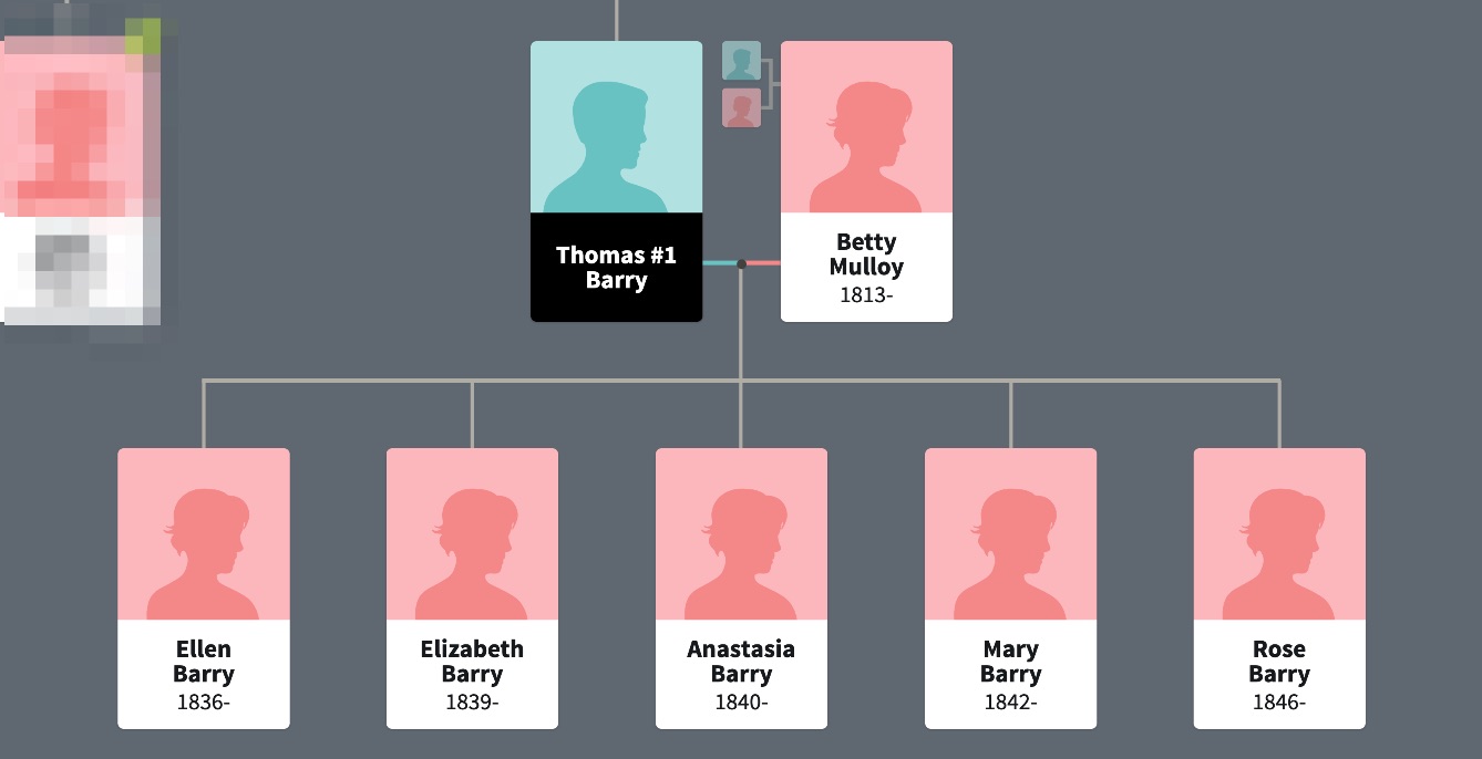 Looking for Thomas Barry in Kilkenny, Ireland before 1840 – Patricia ...