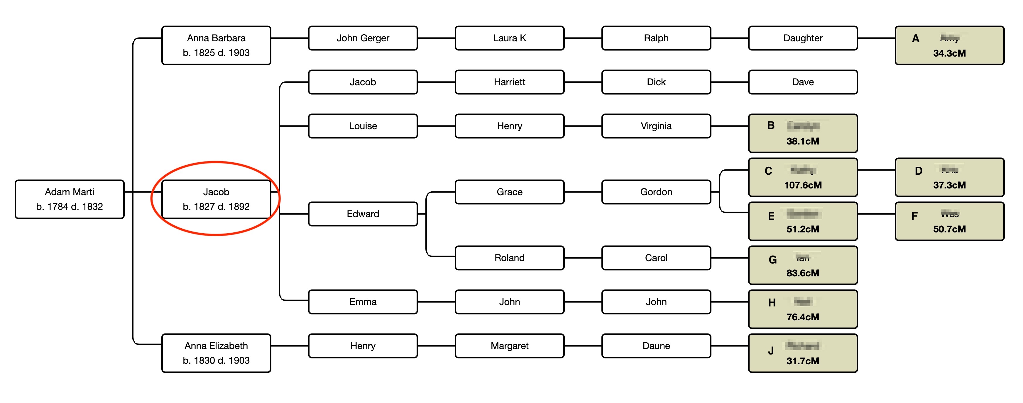 Exploring AutoClusters – Patricia Coleman Genealogy LLC