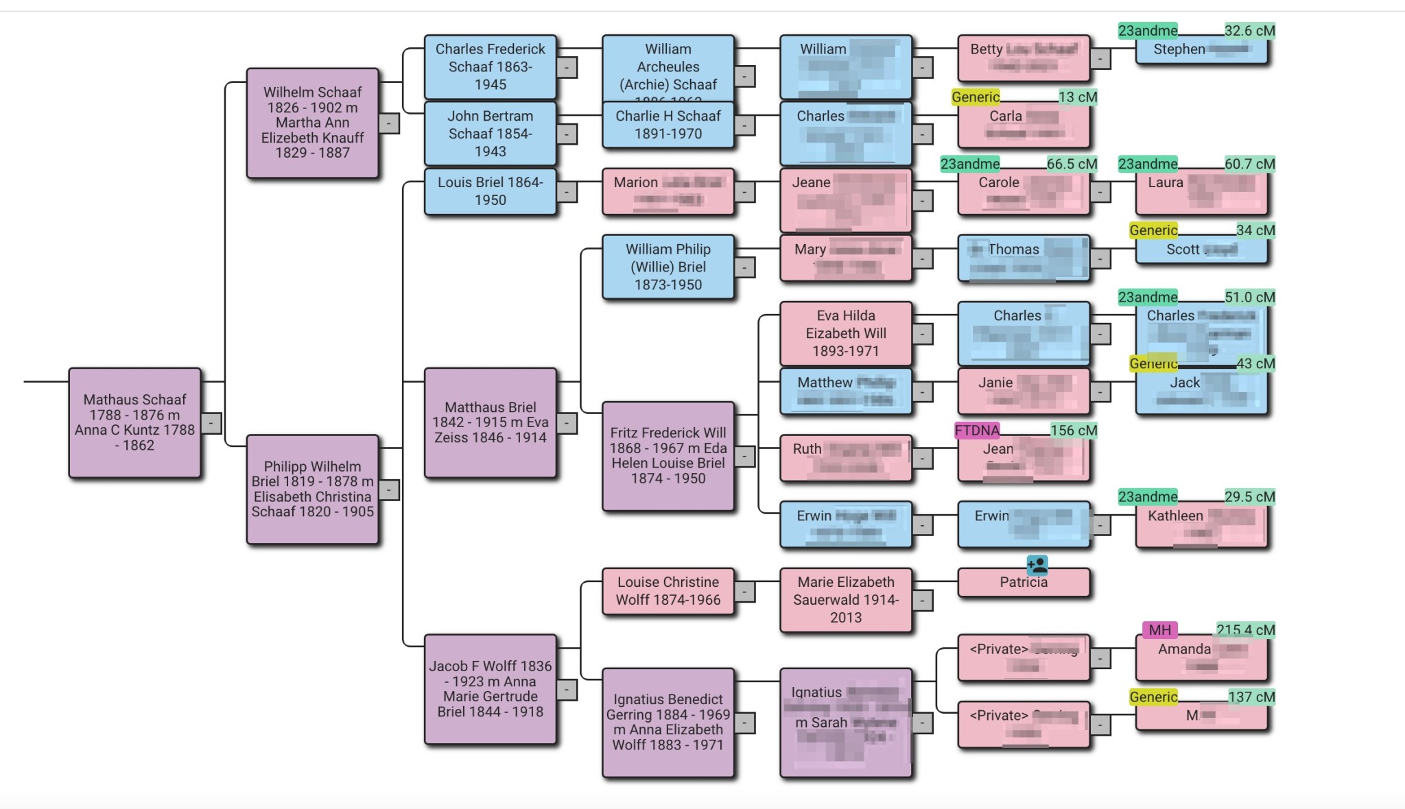 AutoLineage – Patricia Coleman Genealogy LLC