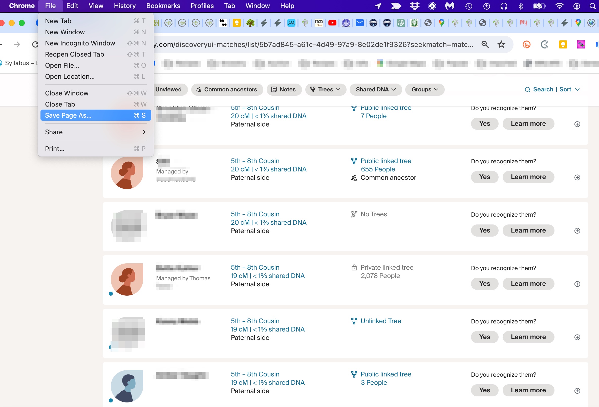 AutoLineage – Patricia Coleman Genealogy LLC