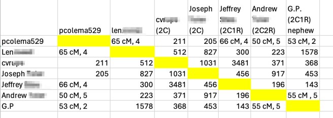 Ancestry Pro Tools Shared DNA – Patricia Coleman Genealogy LLC
