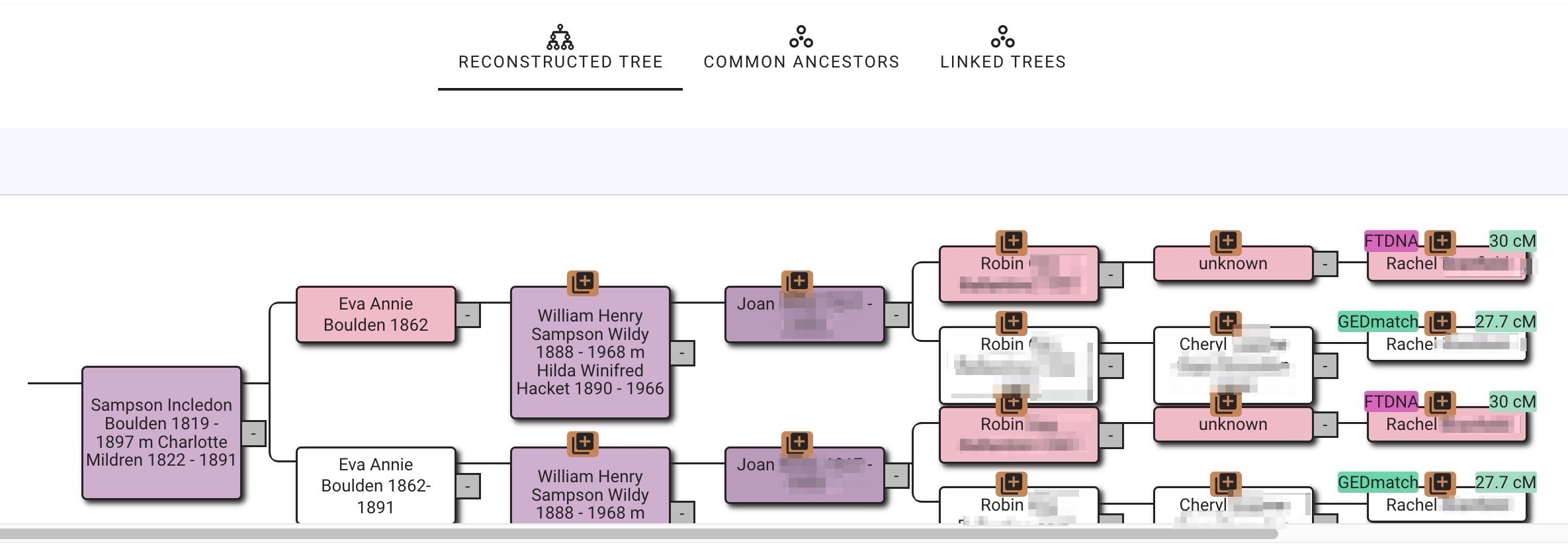 Blog – Patricia Coleman Genealogy LLC