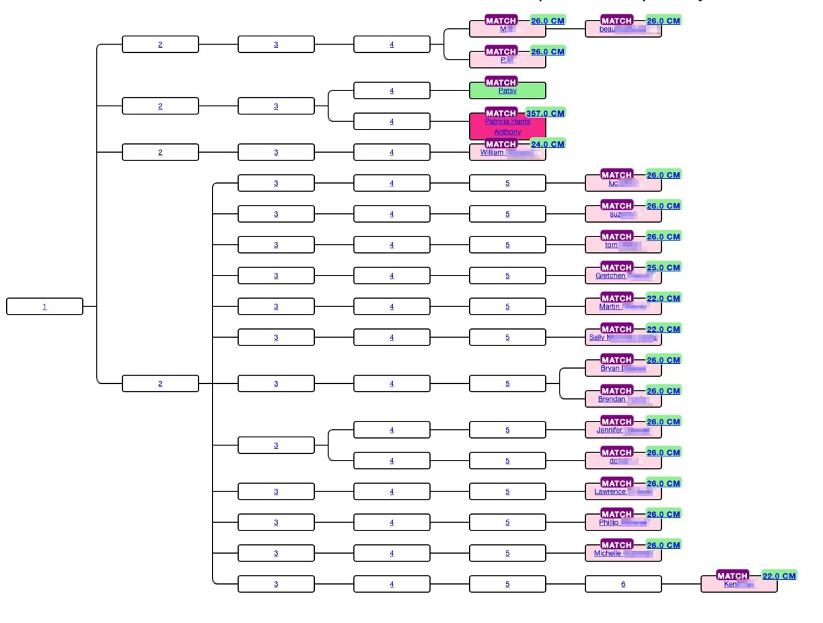 Convert Ancestry ProTools to Trees using AutoLineage and AutoKinship ...