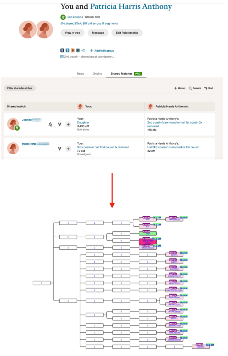 Convert Ancestry ProTools to Trees using AutoLineage and AutoKinship ...